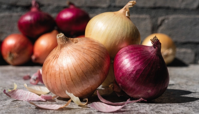 Onion Price Index Analysis 2025: News, Chart and Demand Trends